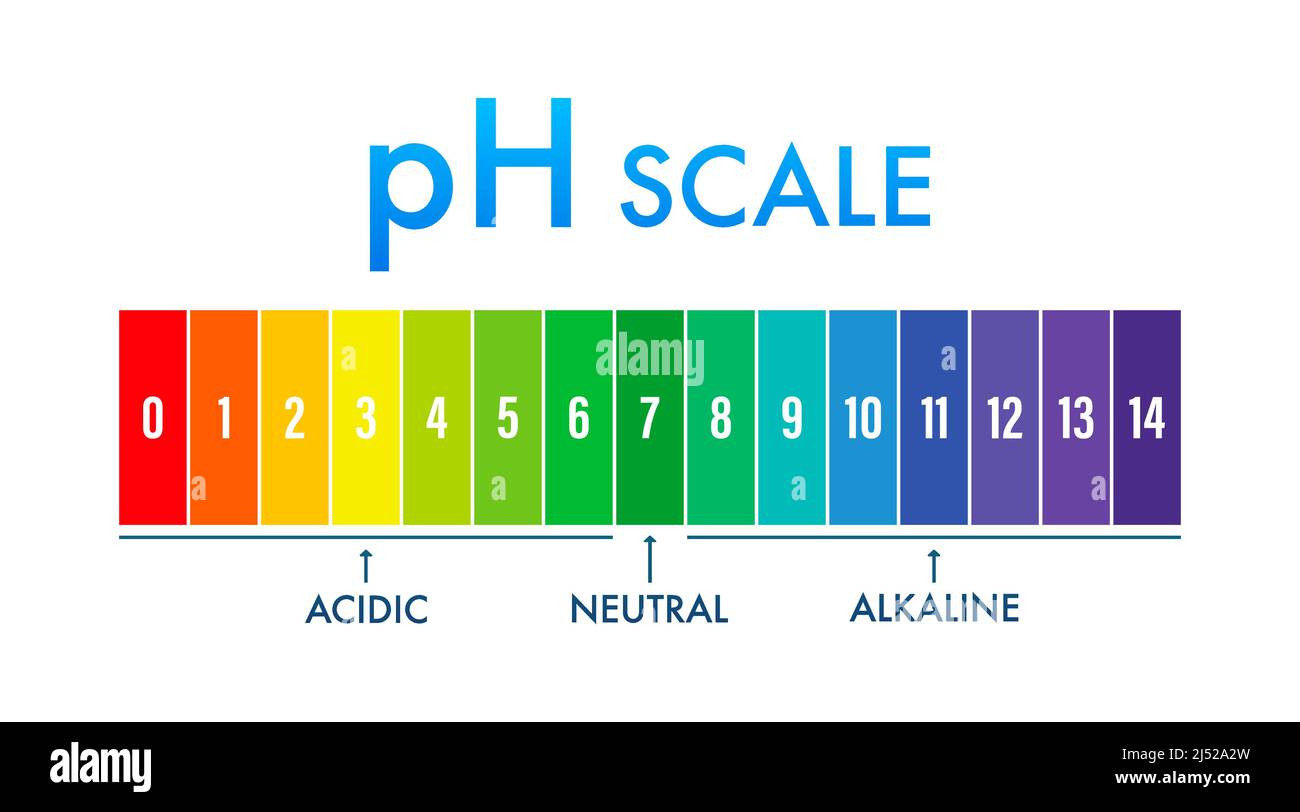 pH value scale meter. pH analysis chemical scale value test. Vector ...
