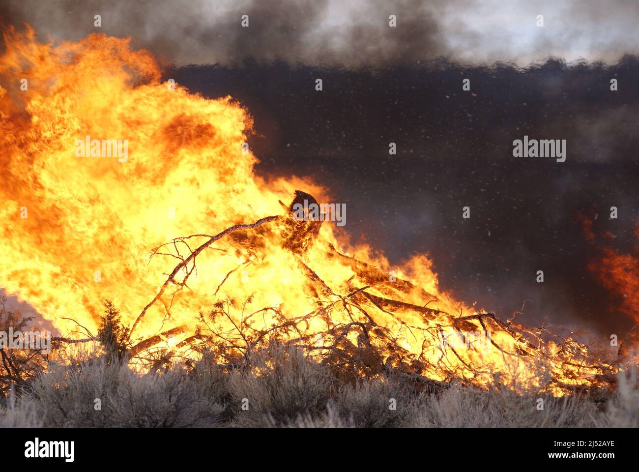 Fire in action hi-res stock photography and images - Alamy