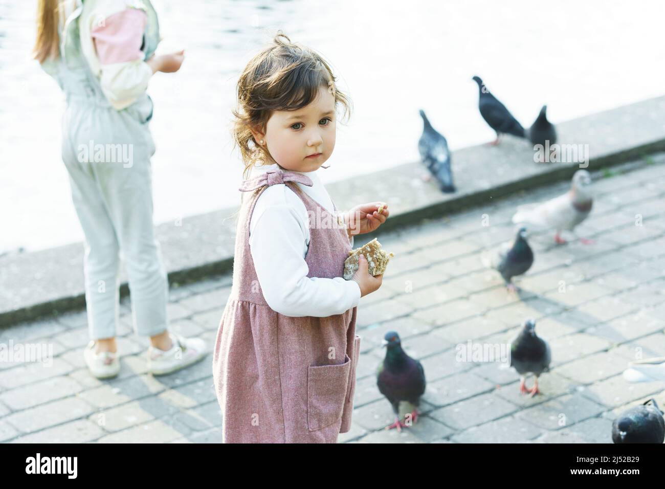 Cute little girl feeding birds in a city park Stock Photo - Alamy