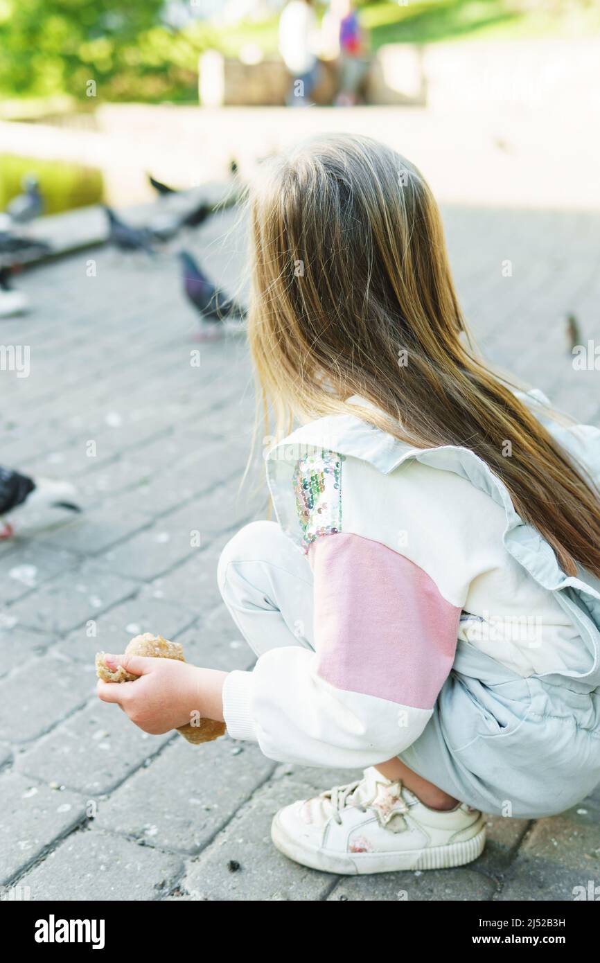 Cute little girl feeding birds in a city park Stock Photo - Alamy