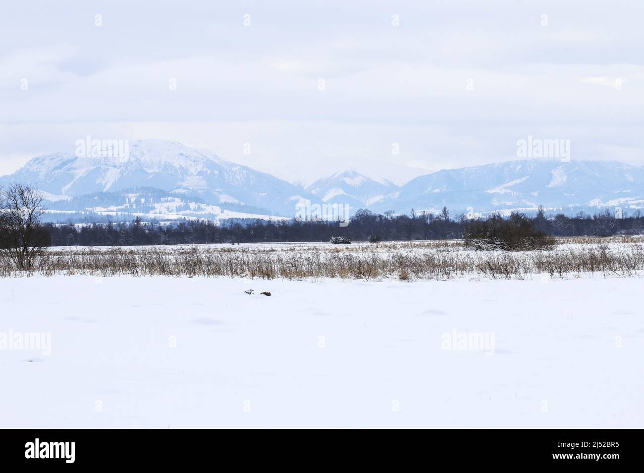 Vast plains covered with snow, winter landscape Stock Photo - Alamy