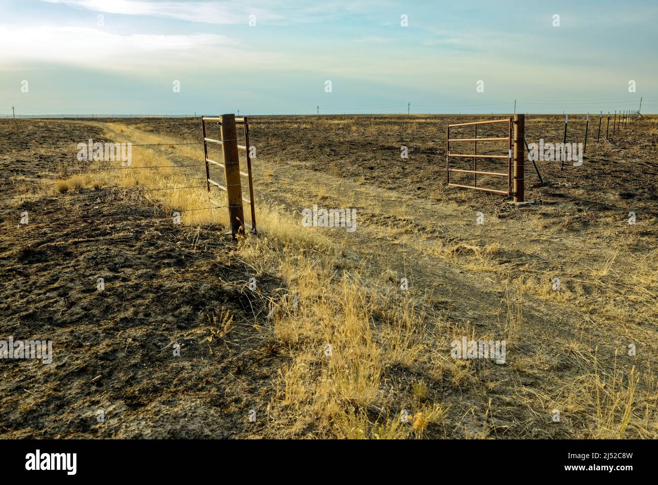 Gravel road passes through an open gate to barren farm fields in ...