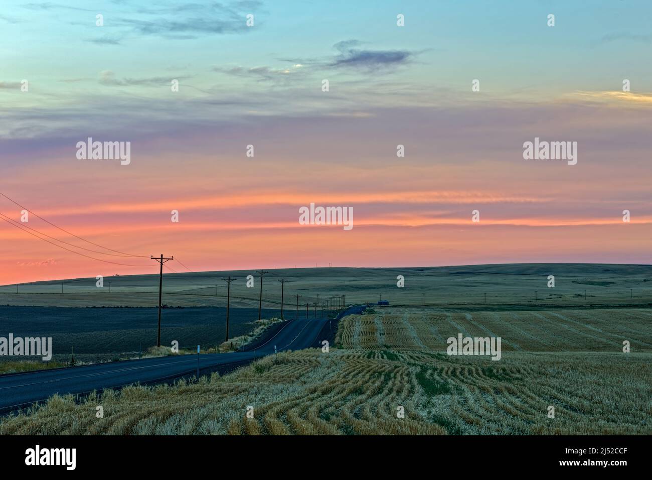 Wheat field growing us hi-res stock photography and images - Alamy