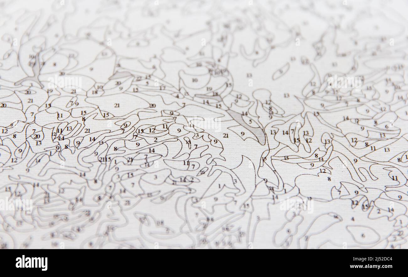 Picture by number. A new creative process, canvas broken down by ...