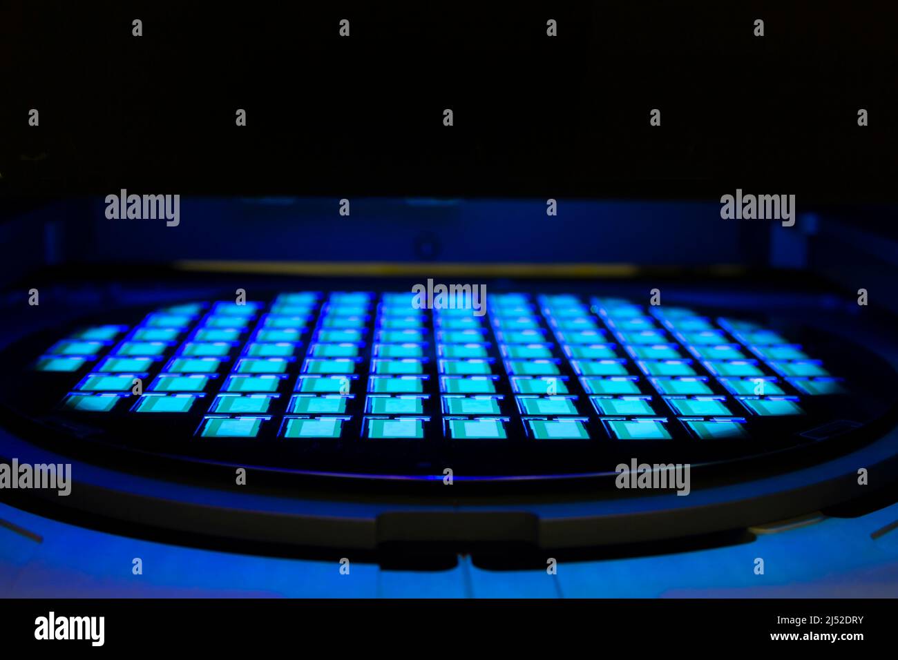 Silicon wafer with chips lightinhg in neon light. Semiconductor Stock ...