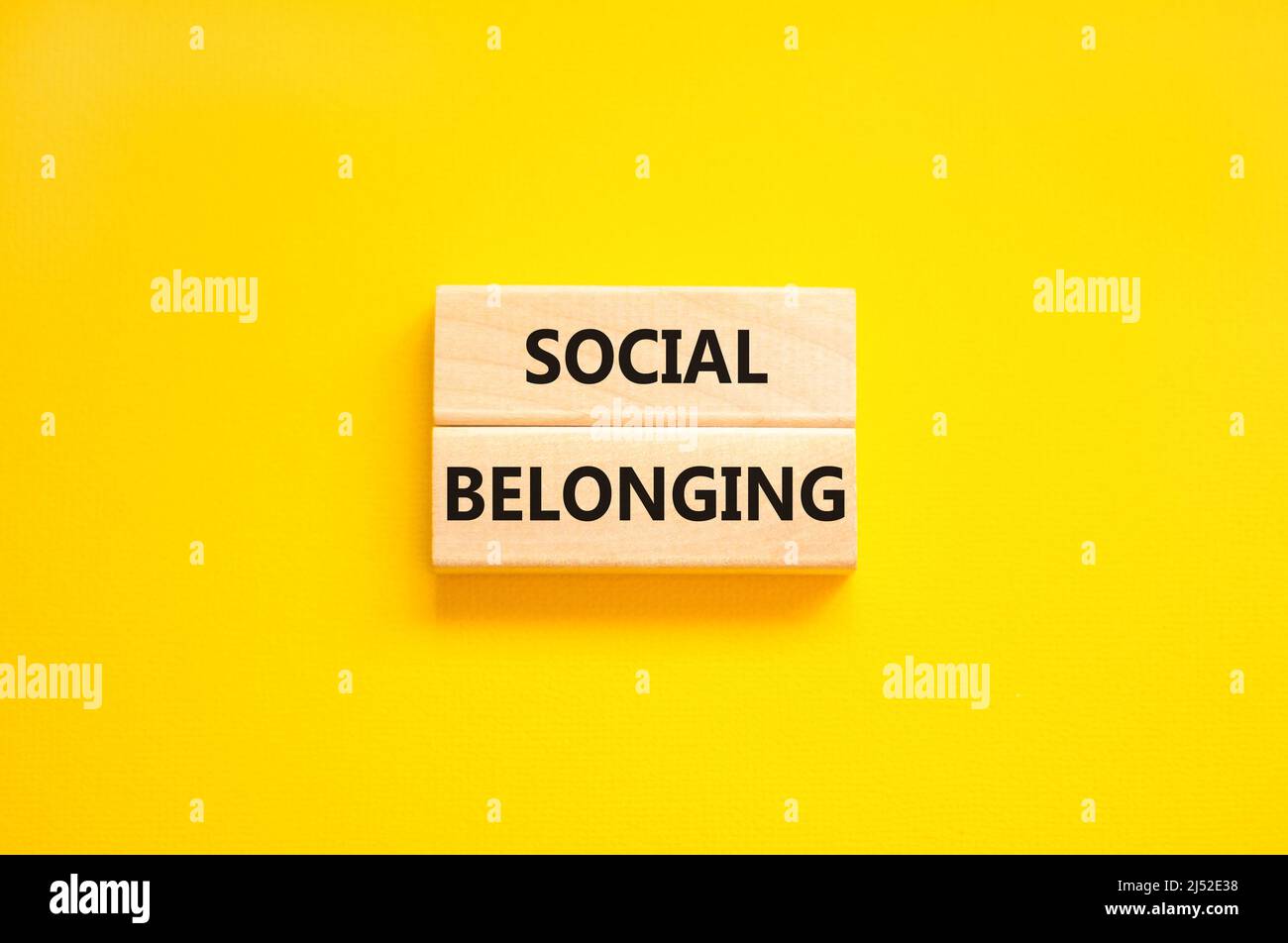 Social belonging symbol. Wooden blocks with concept words Social ...