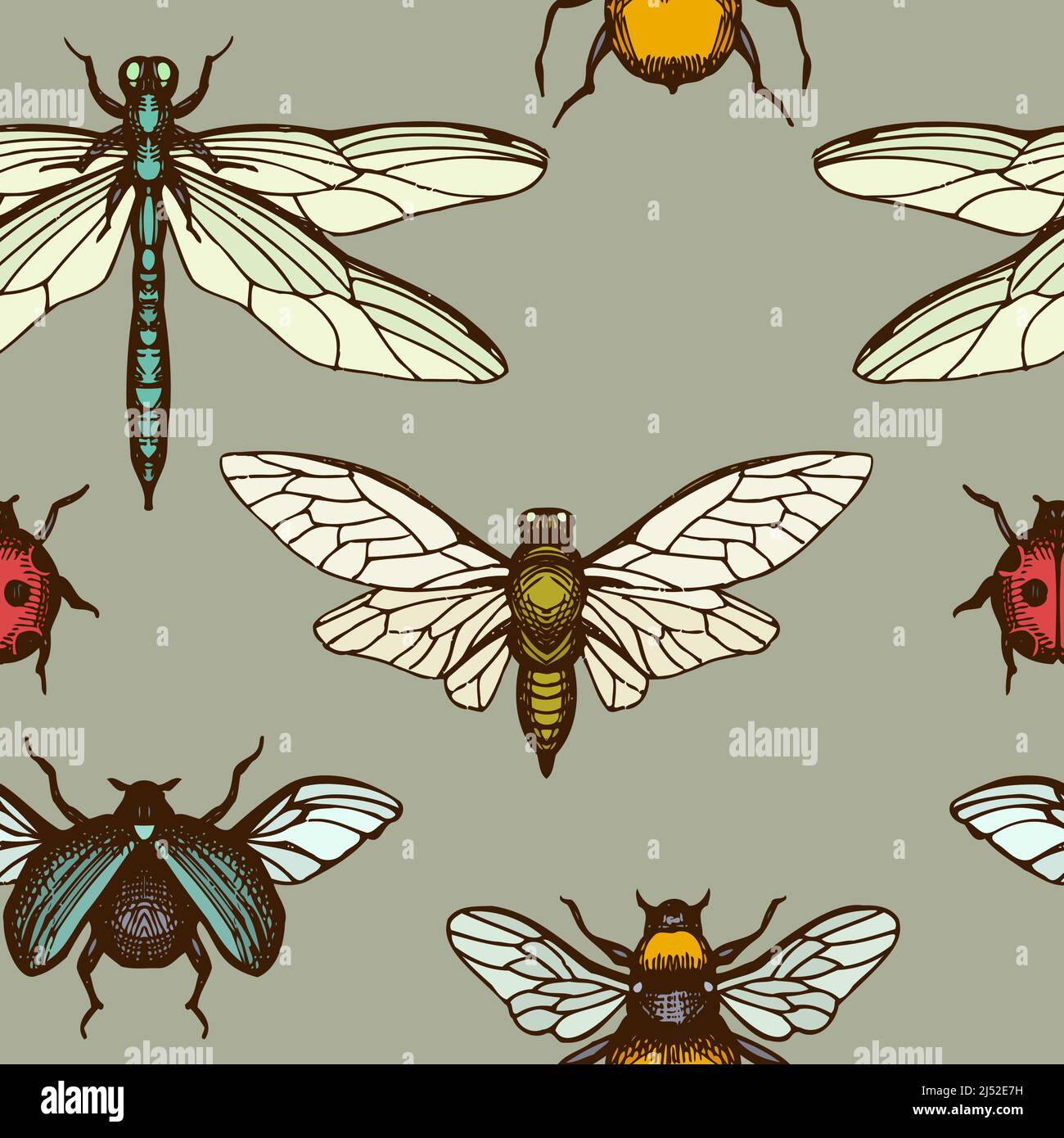 Tea herbs seamless pattern background design. Engraved style. Hand ...