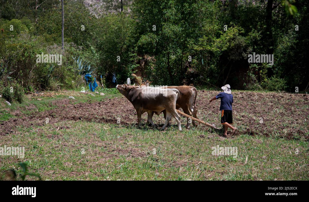 Ploughing tools hi-res stock photography and images - Alamy