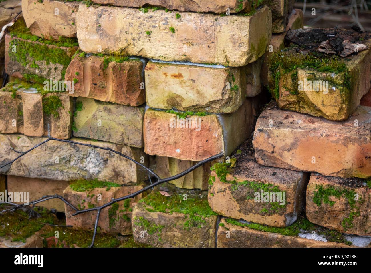 Brick covered in moss hi-res stock photography and images - Alamy