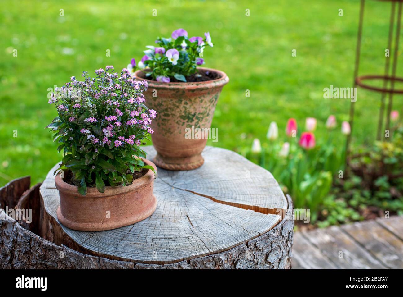 wooden terrace with flowers pots and garden Stock Photo - Alamy