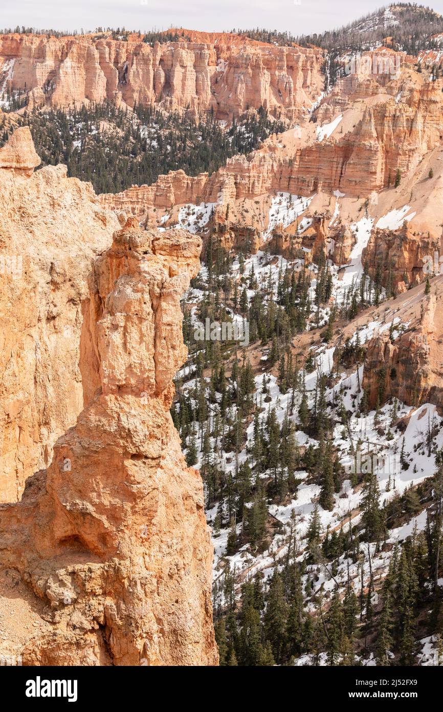 Bryce Canyon National Park Stock Photo - Alamy
