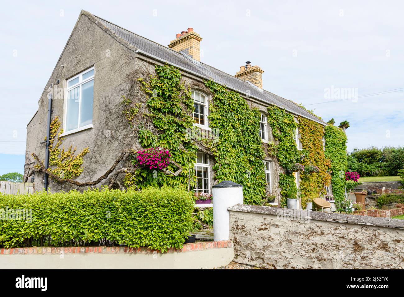 Old Irish farmhouse, built and altered between 1880 and 1930, covered ...