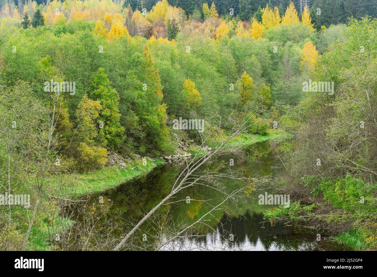 Forest river finland hi-res stock photography and images - Alamy