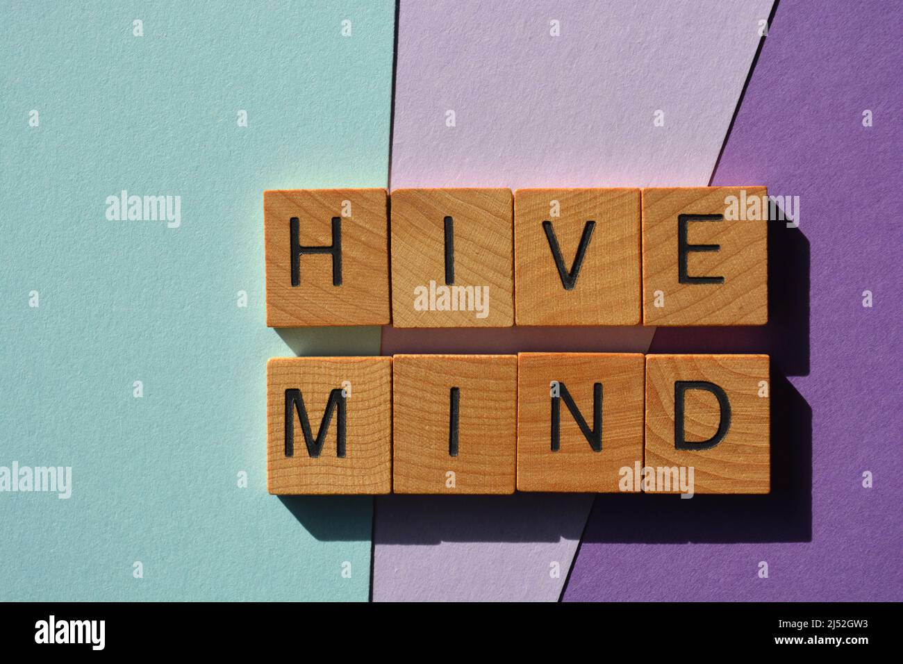 Hive Mind, words in wooden alphabet letters isolated on background ...