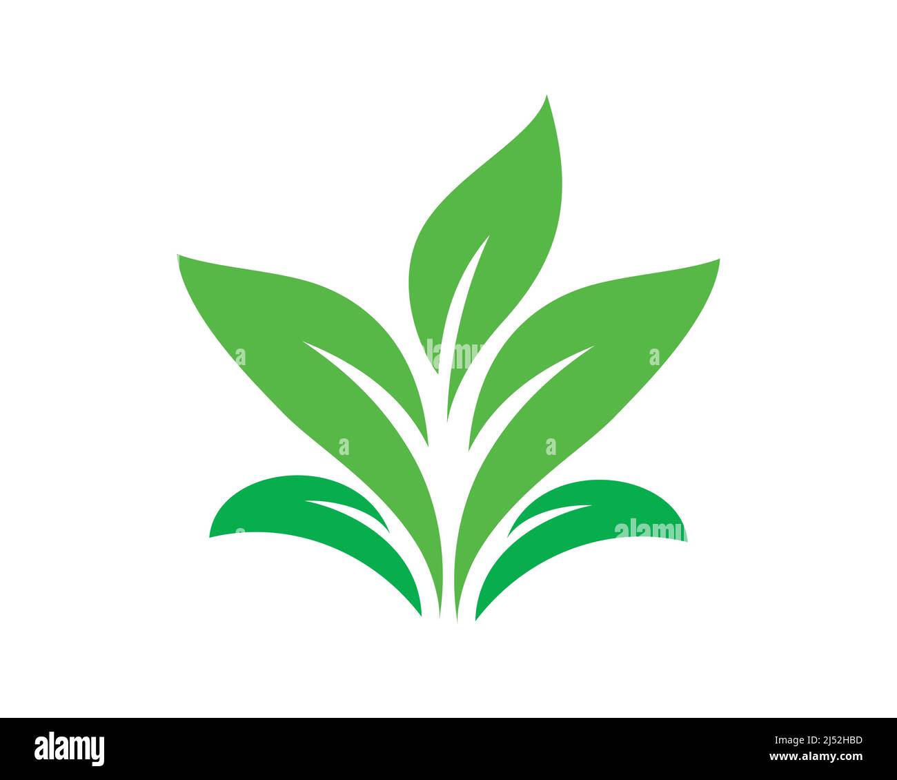 Simple Leaf Plant and Lawncare Symbol Stock Vector Image & Art - Alamy
