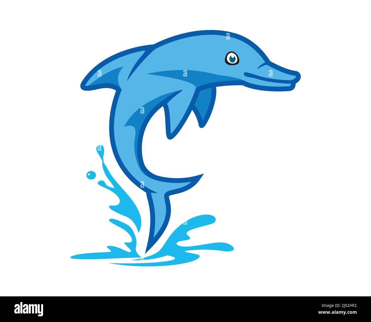 Jumping Dolphin from the Water Illustration Vector Stock Vector Image ...