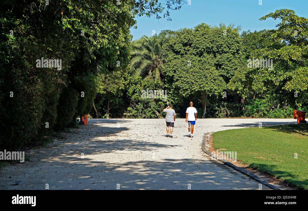 Tijuca forest park trail hi-res stock photography and images - Alamy