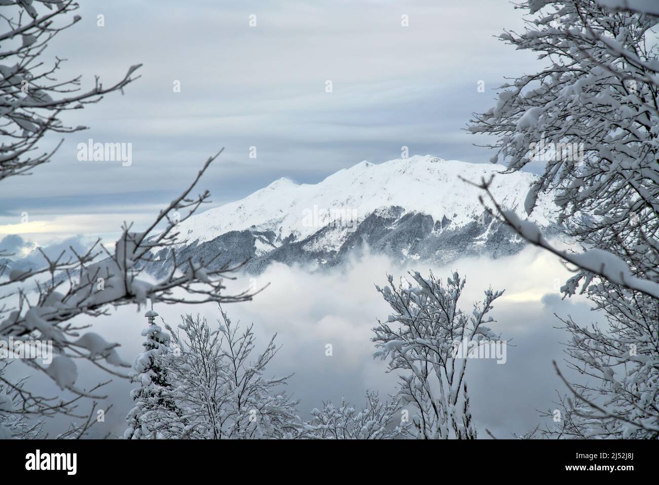 Snow-covered mountain forest. After heavy snowfall. Clouds covered the ...