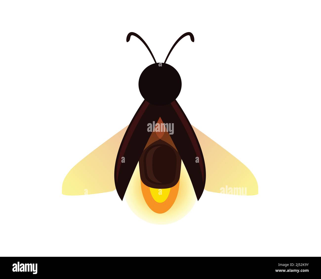 Glowing Firefly while Flying Illustration Vector Stock Vector Image ...