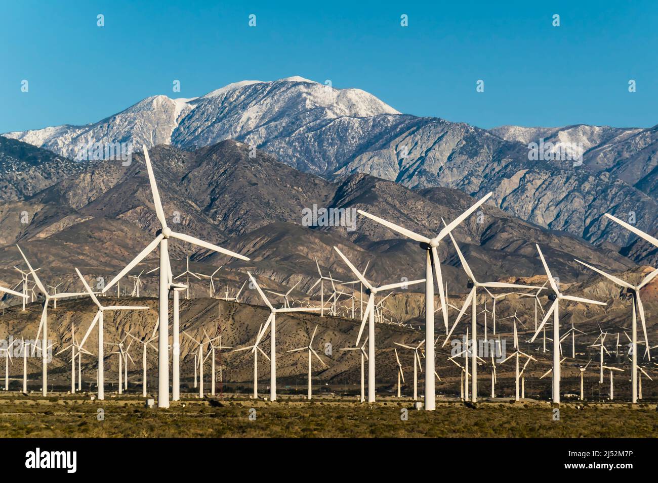 A large wind farm in Palm Springs, California Stock Photo - Alamy
