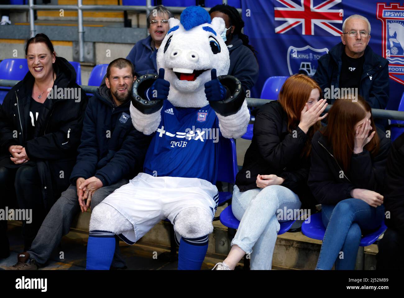 Wigan athletic mascot hi-res stock photography and images - Alamy