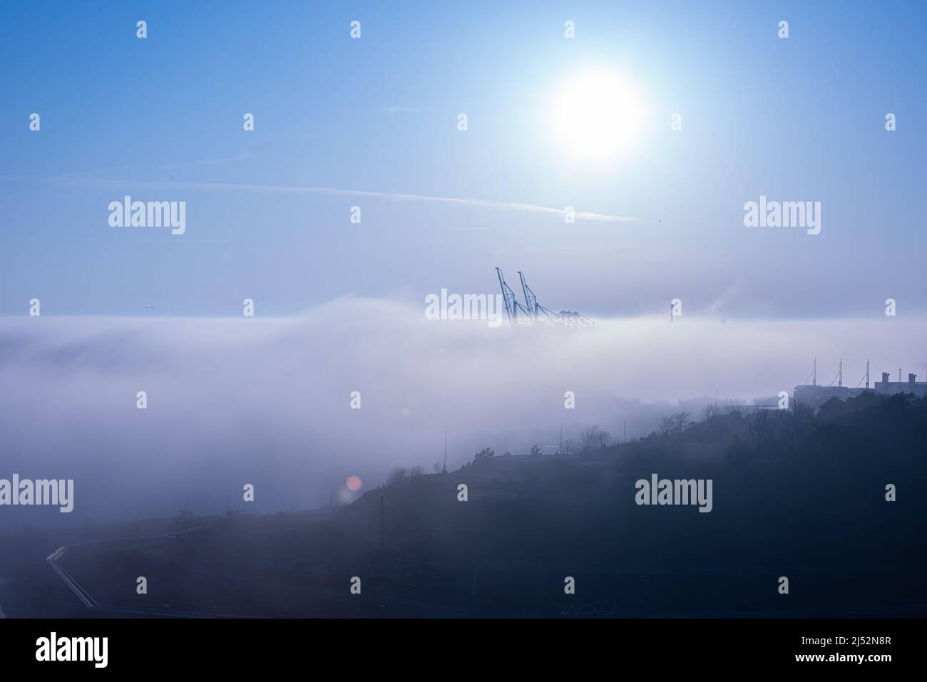 Idle container cranes in dense fog Stock Photo - Alamy