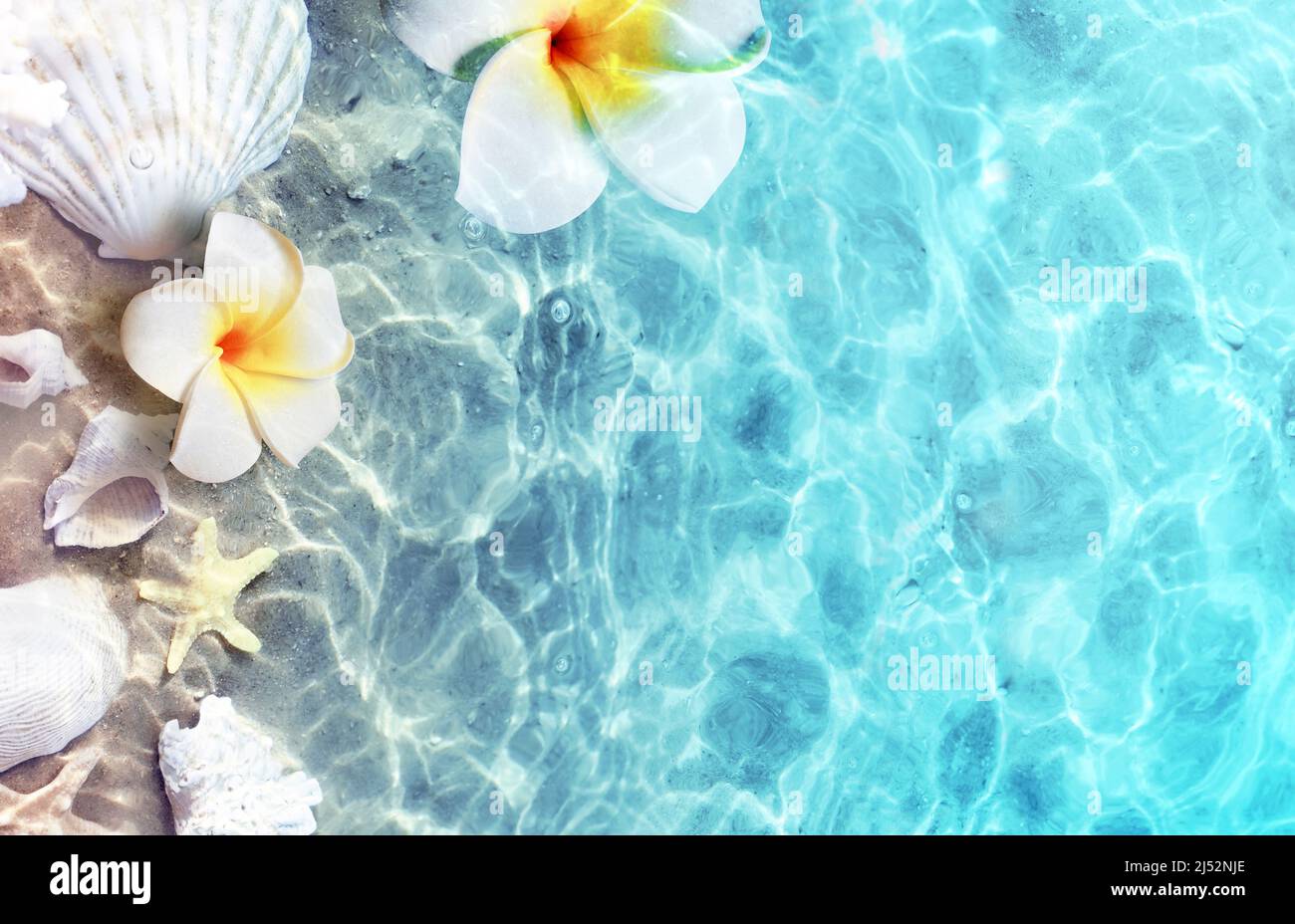 Starfish, seashell and flower on the summer beach in sea water. Summer ...