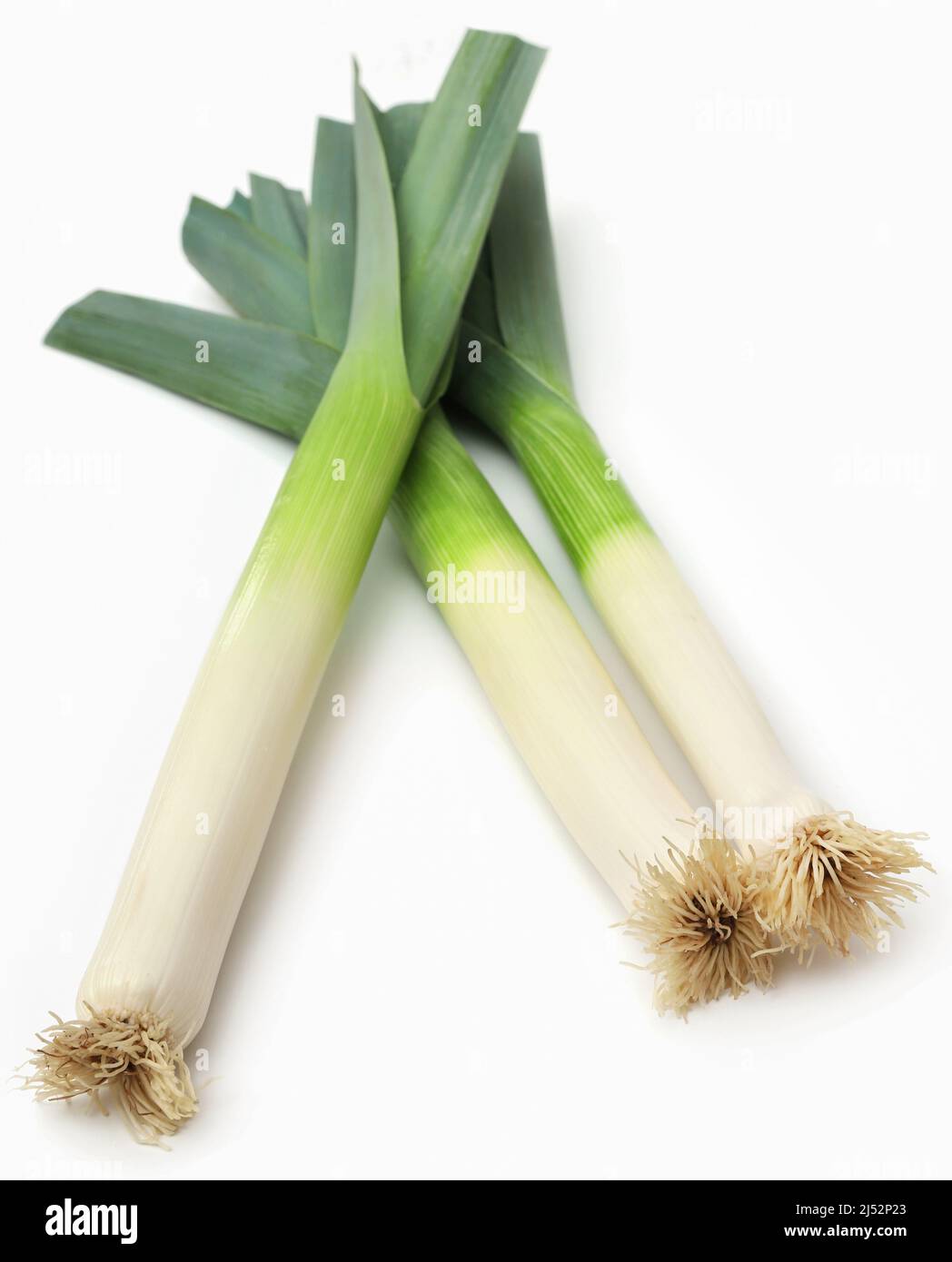 Fresh leek stems and leaves over white background Stock Photo - Alamy