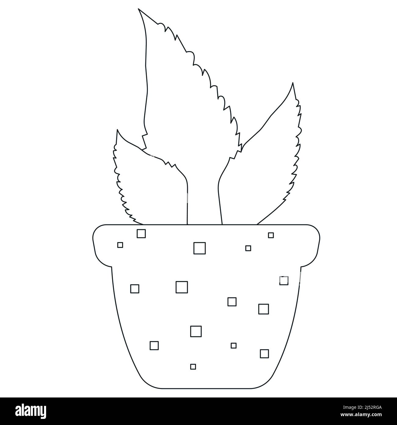 Black and white hand drawn houseplant.Poster.banner,label. Vector Stock ...