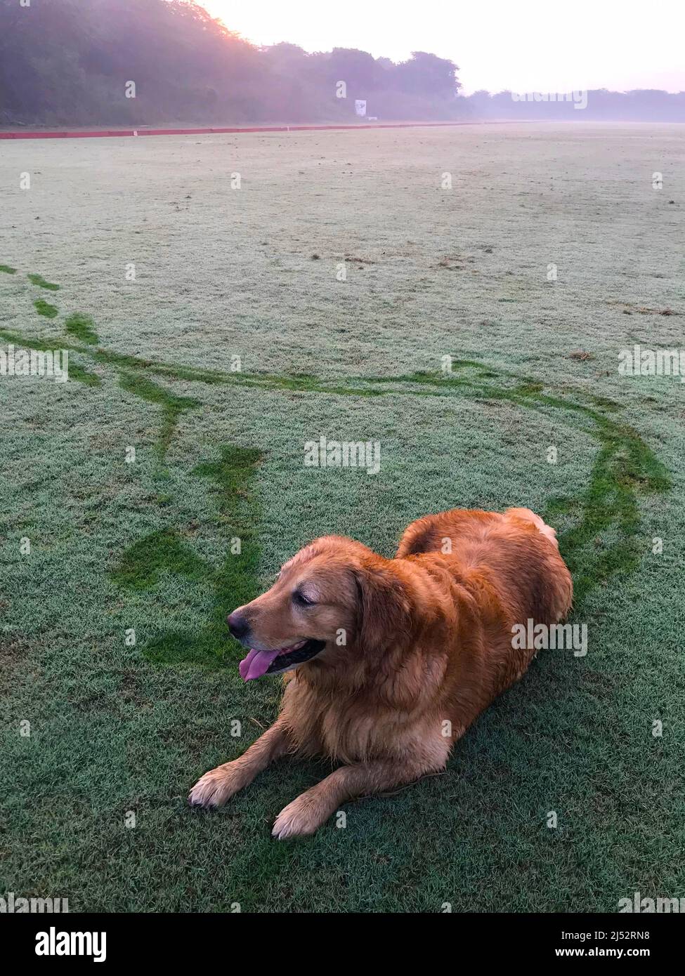 Dew delhi hi-res stock photography and images - Alamy