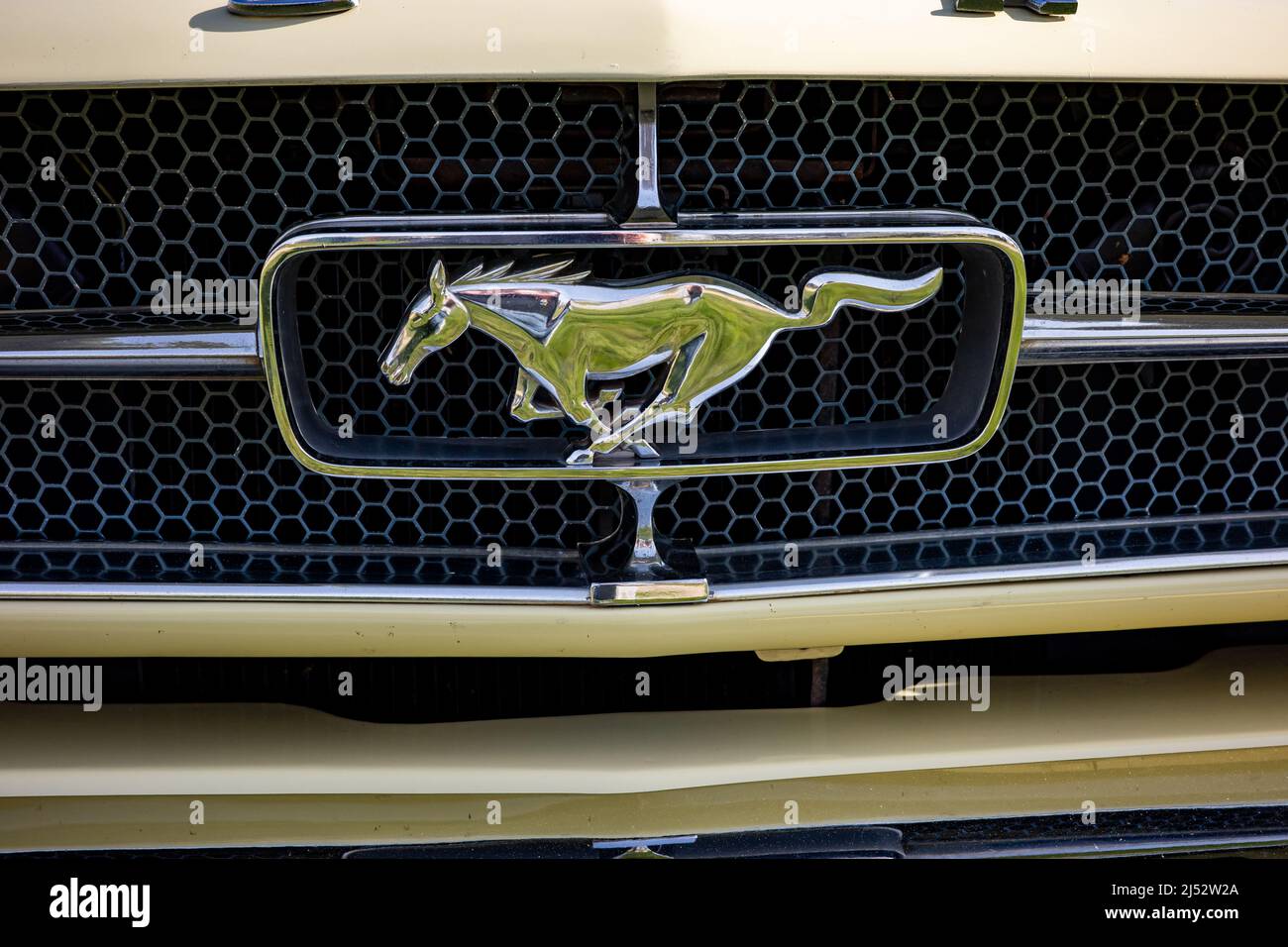 Close up of the front of a classic Ford Mustang muscle car on display ...