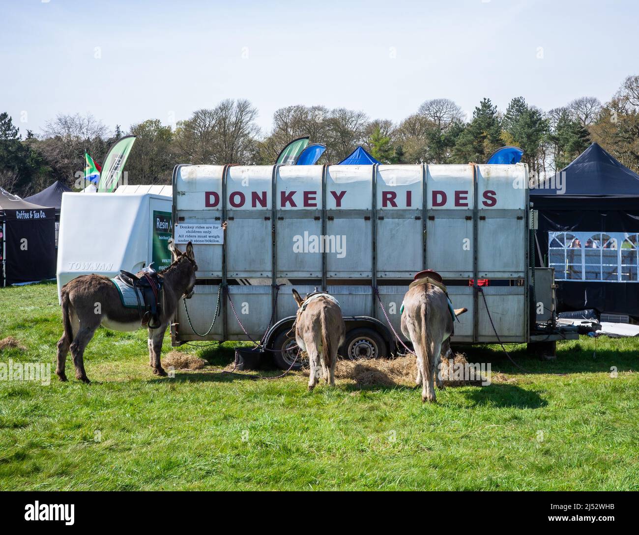 Donkeys used for kids’ donkey rides at the 2022 Henham Easter Country ...