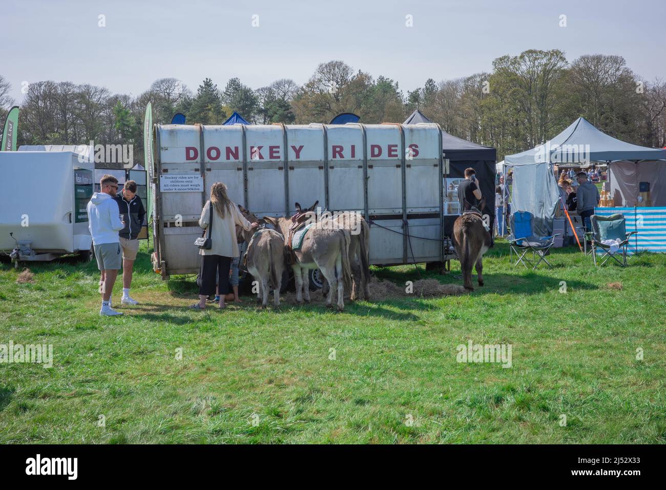 Donkeys used for kids’ donkey rides at the 2022 Henham Easter Country ...