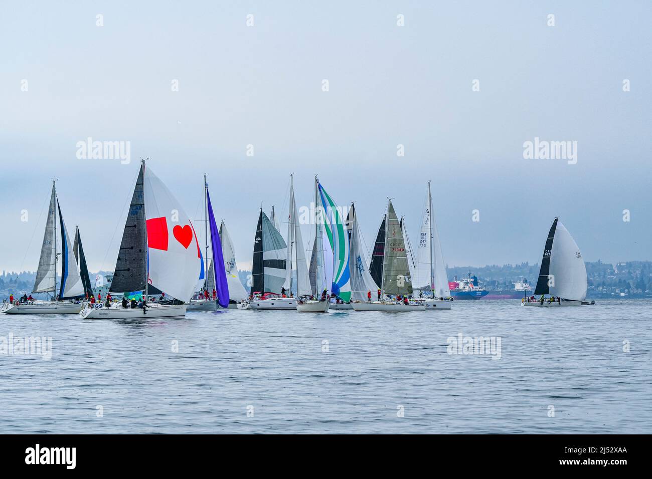 Southern Straits Classic Yacht Race, English Bay, British Columbia ...