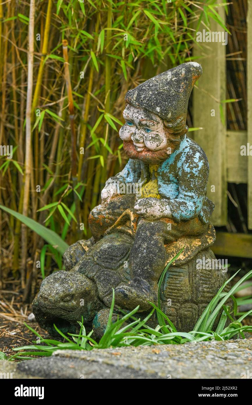 garden gnome riding turtle Stock Photo - Alamy