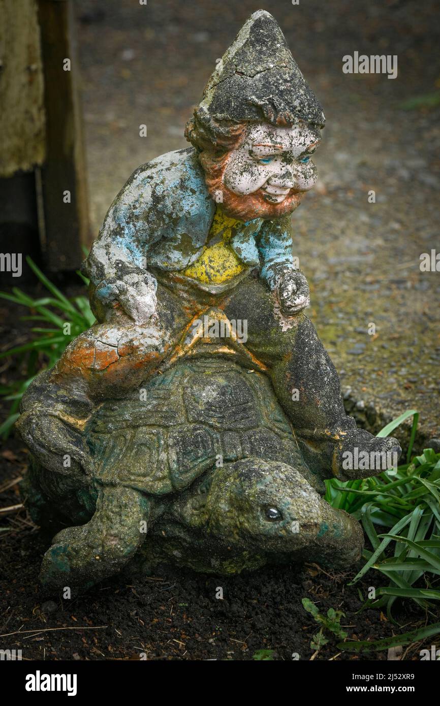 garden gnome riding turtle Stock Photo - Alamy