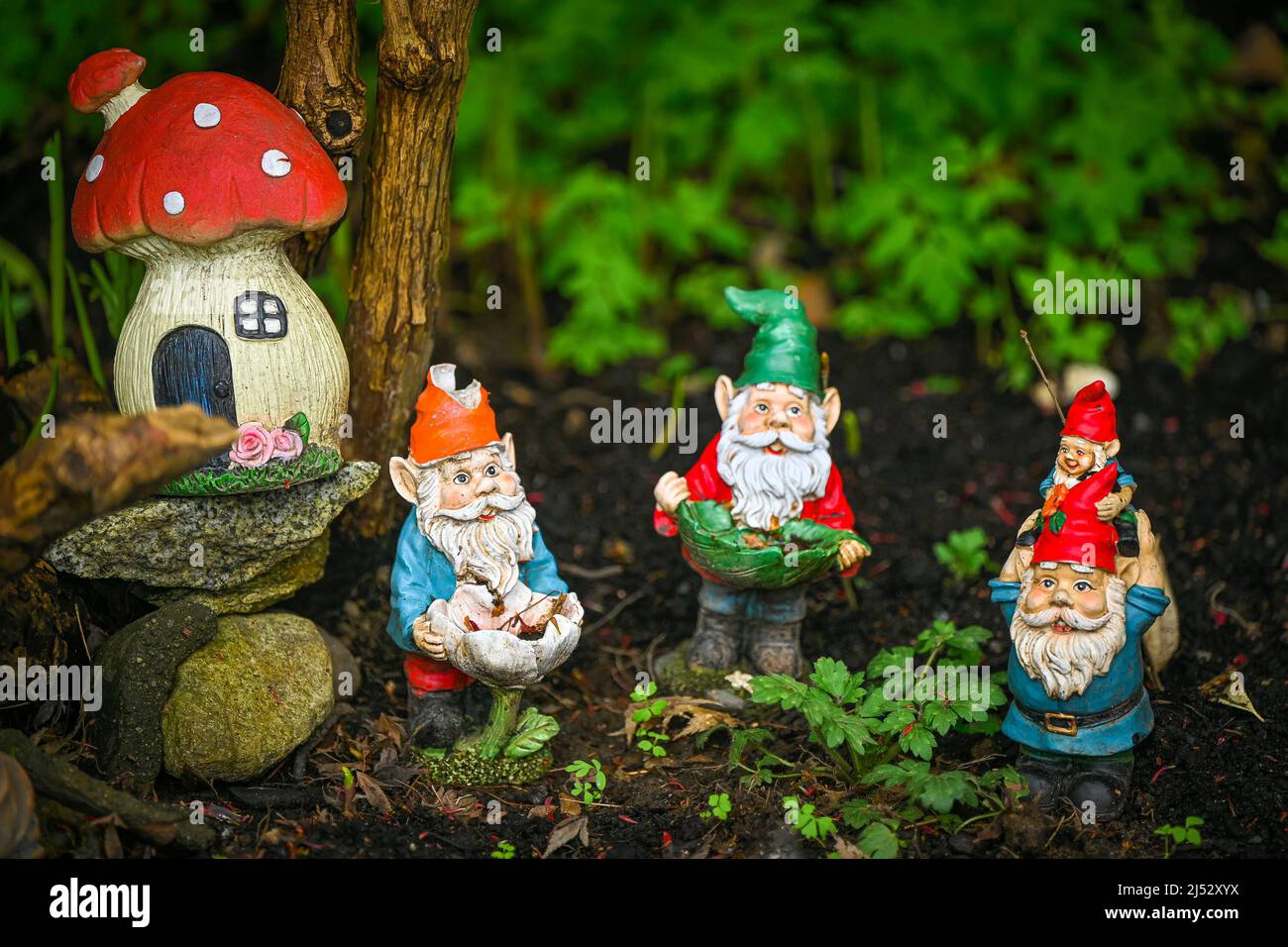 Gnomes and toadstool, garden ornaments Stock Photo - Alamy