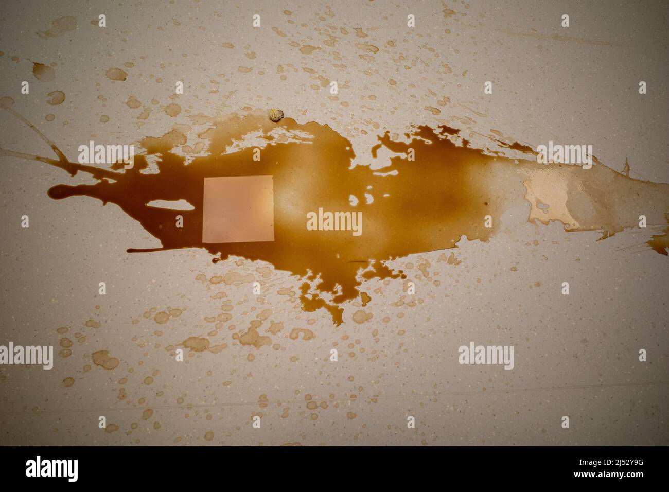 Coffee bean design on floor hi-res stock photography and images - Alamy
