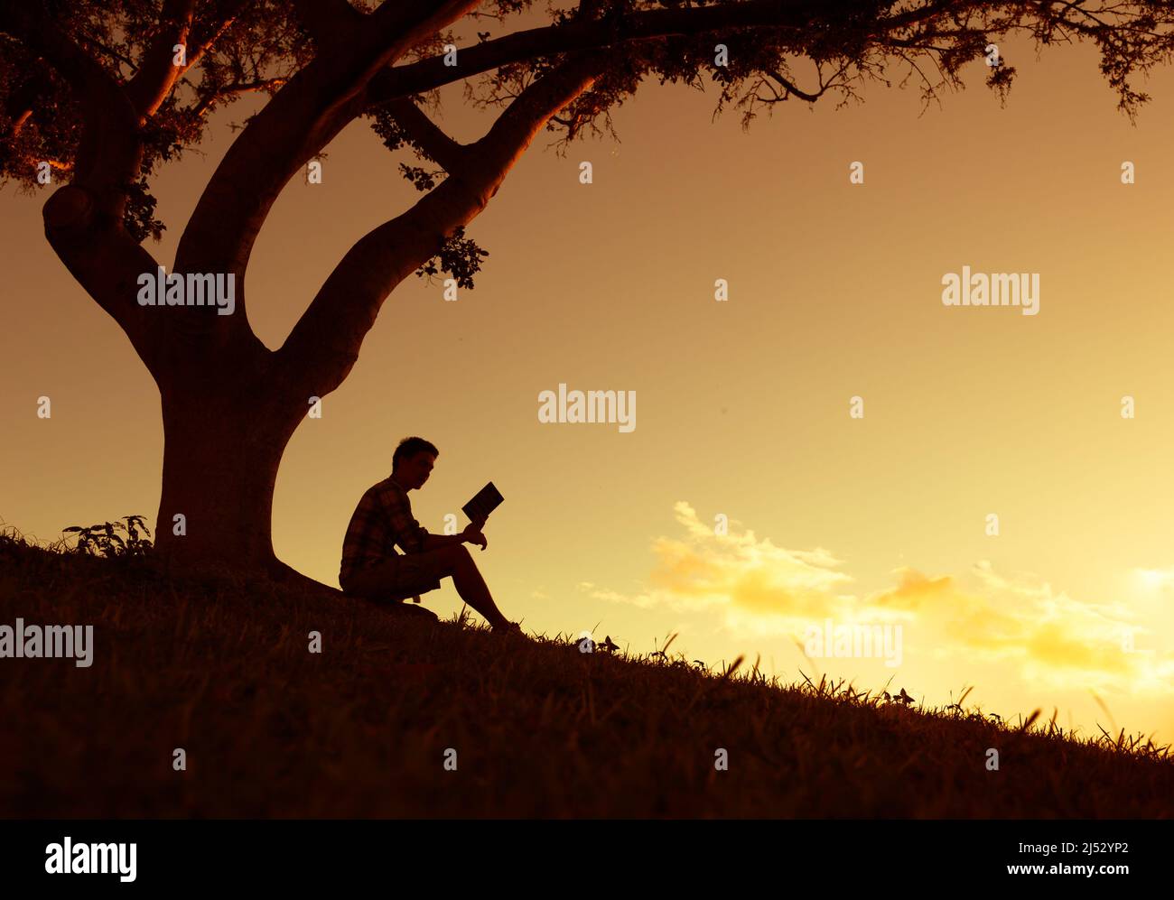 Man sitting under tree reading hi-res stock photography and images - Alamy