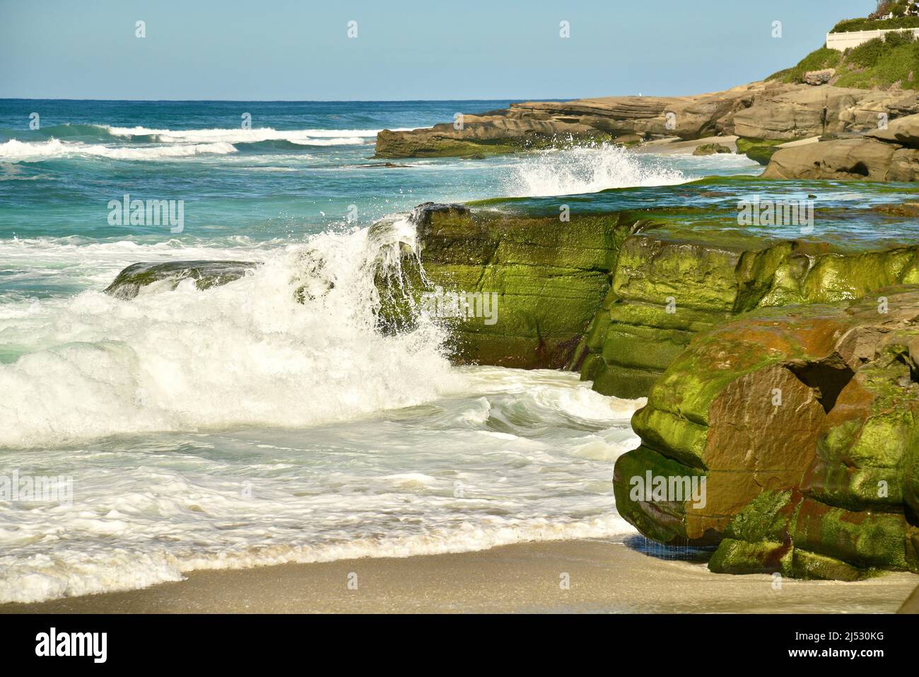 Waves and surf crashing and pounding green algae-covered rocks along ...