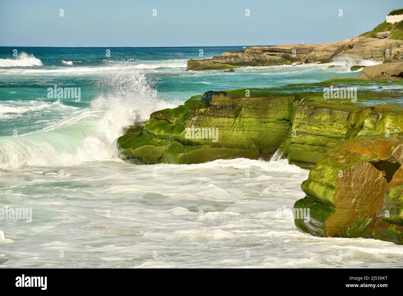 Waves and surf crashing and pounding green algae-covered rocks along ...