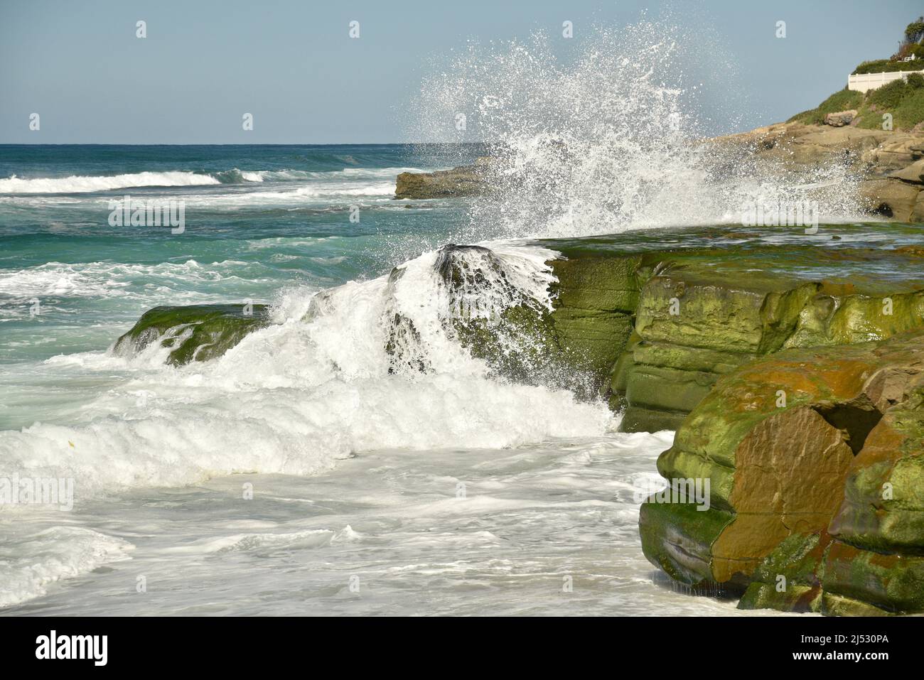 Waves and surf crashing and pounding green algae-covered rocks along ...