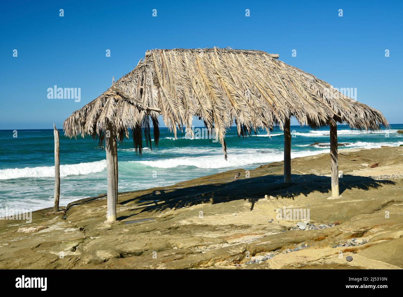 Historic landmark Windansea Surf Shack adjacent to waves and surf along ...
