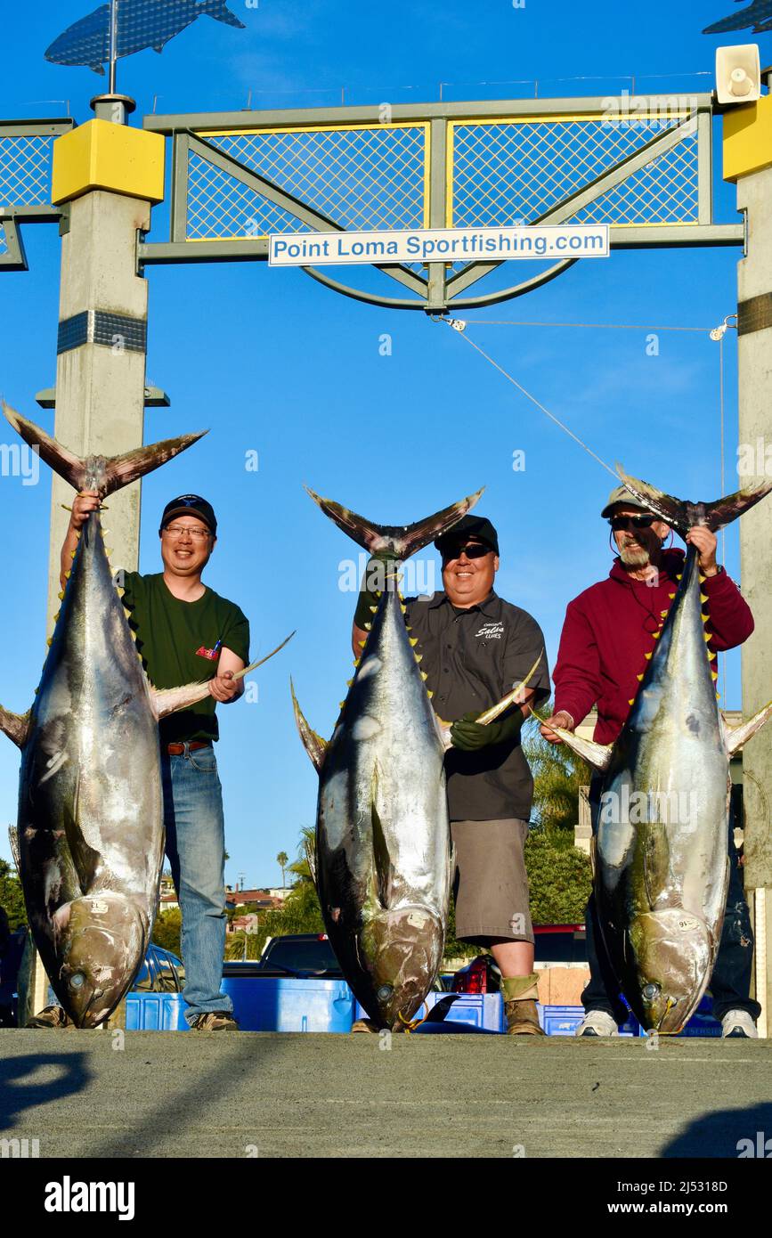 Large tuna fish caught in Pacific Ocean by sports fisherman, catch ...