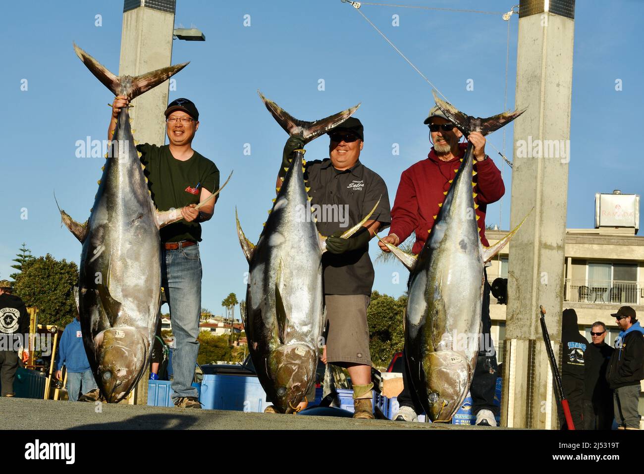 Yellowfin Tuna Fishing Cape Cod