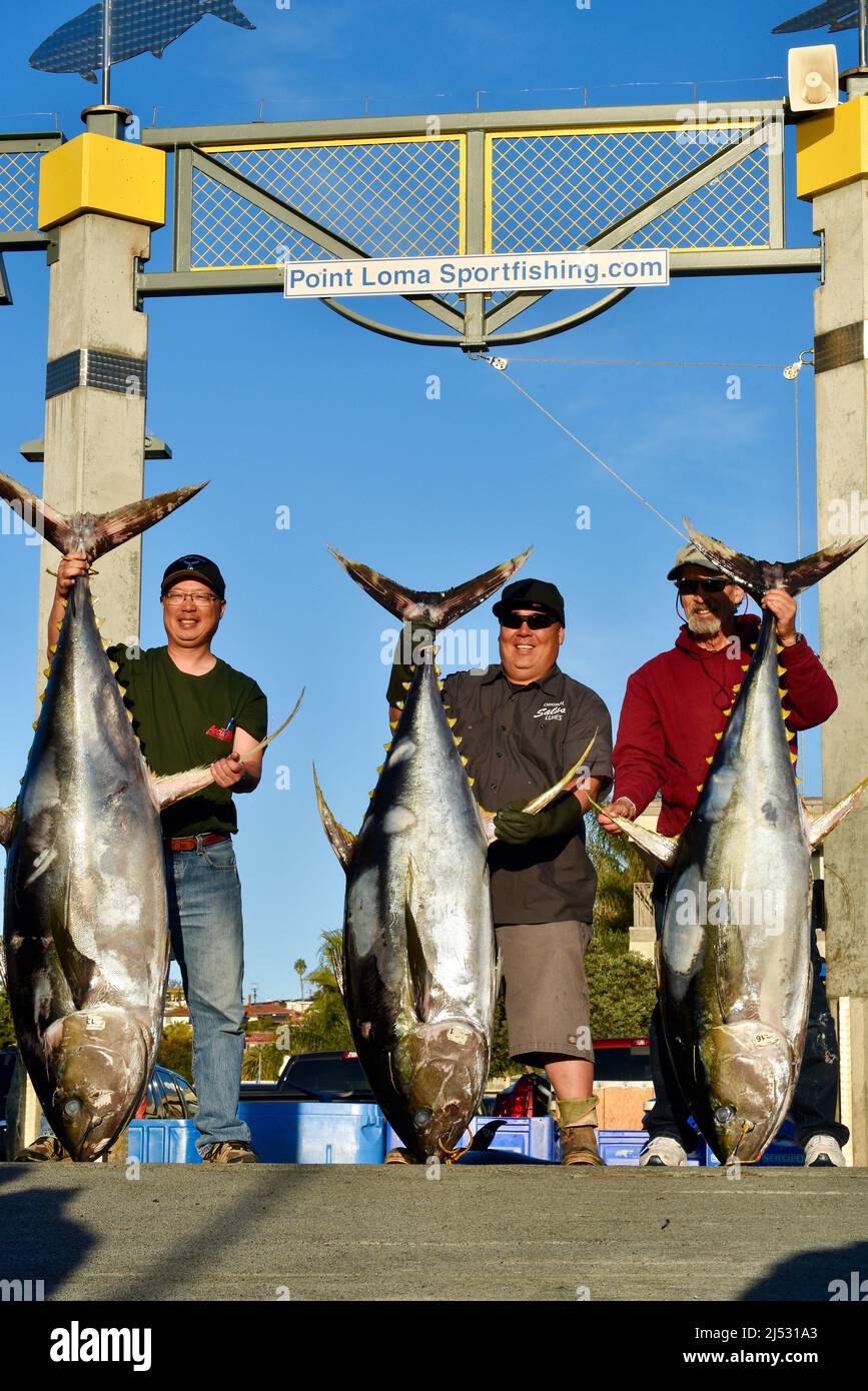 Largest Yellowfin Tuna Ever Caught