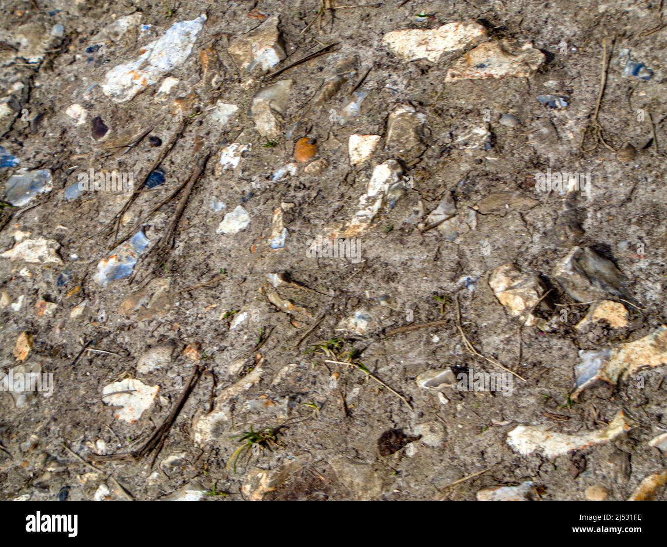 Environment, abstract after a shower of rain on wet soil Stock Photo ...