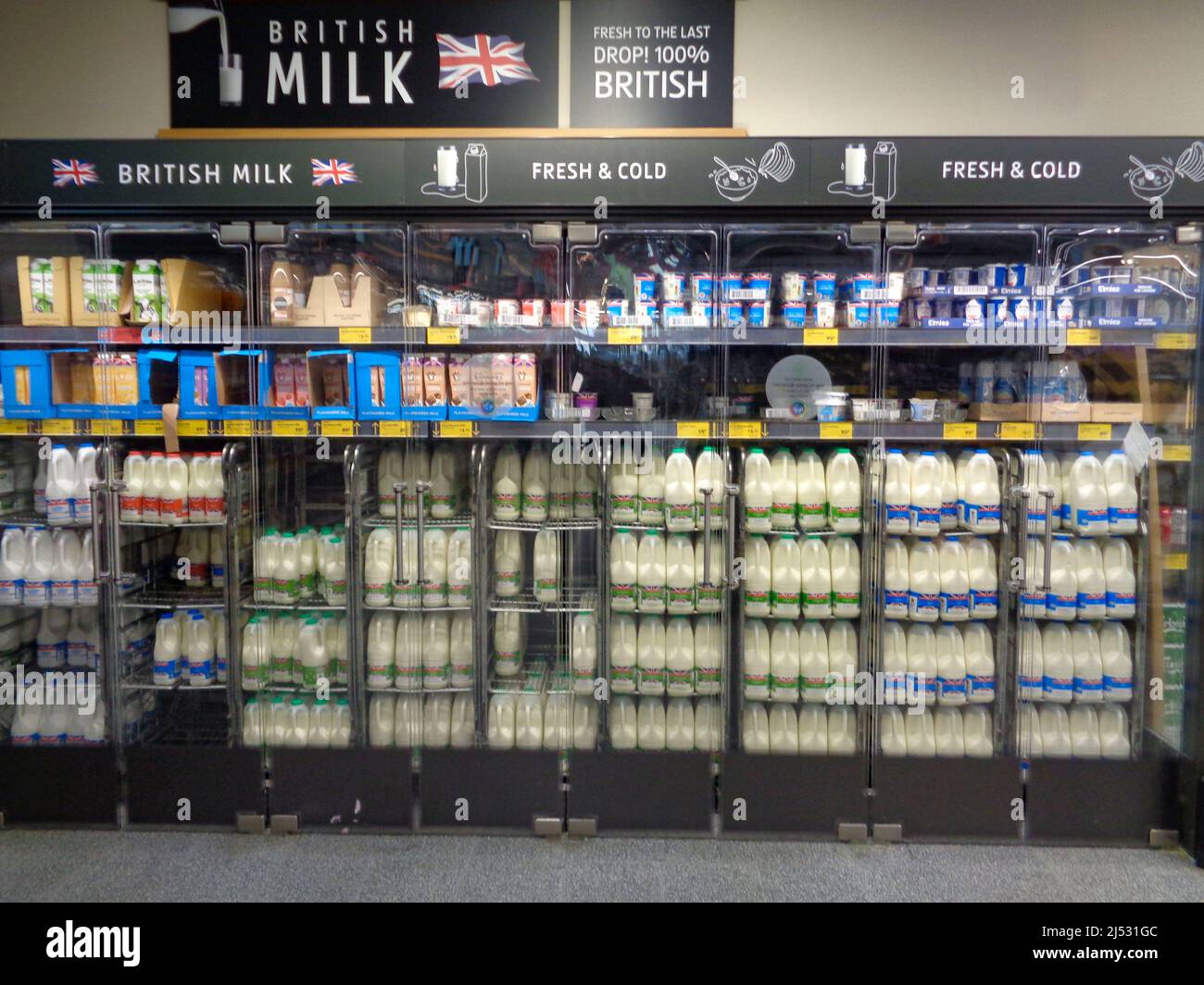 Milk on sale in a supermarket, London, England Stock Photo - Alamy
