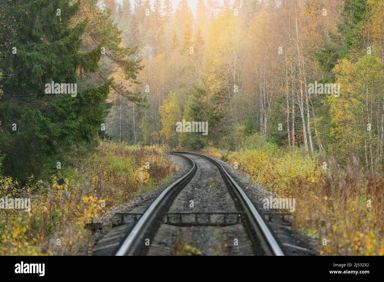 Long railway line in the forest at autumn day. Finland Stock Photo - Alamy