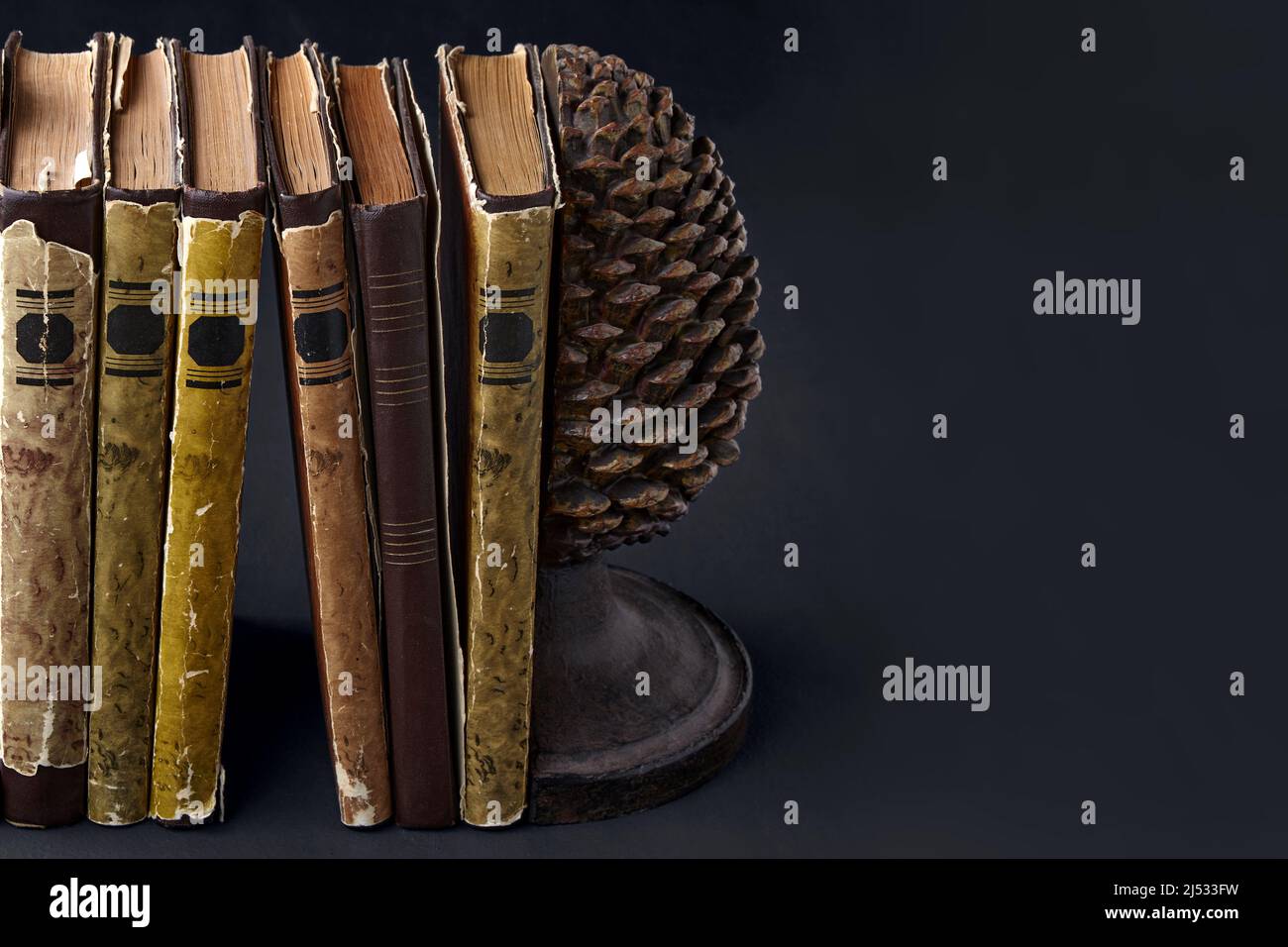 Old dilapidated books stand between holders in the form of spit cones ...